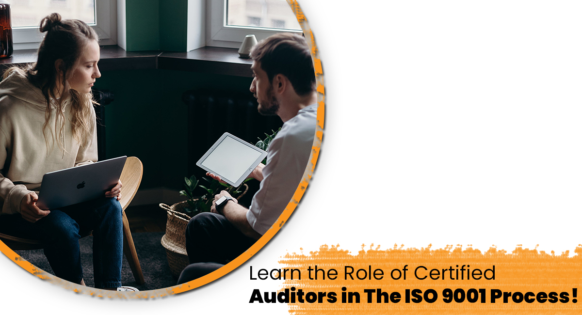 Audit Specialists for ISO 9001 process