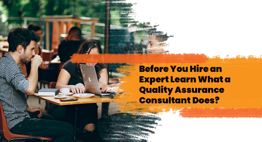 Quality Assurance and consultants - their duties and significance